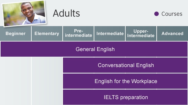 Courses and levels for adults | British Council